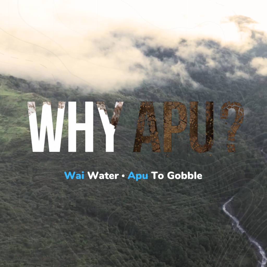 Why Apu? Name explainer - Te Amokura Productions